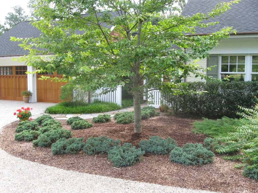 Landscape Design Mistakes - Softening Edges - Designing Eden