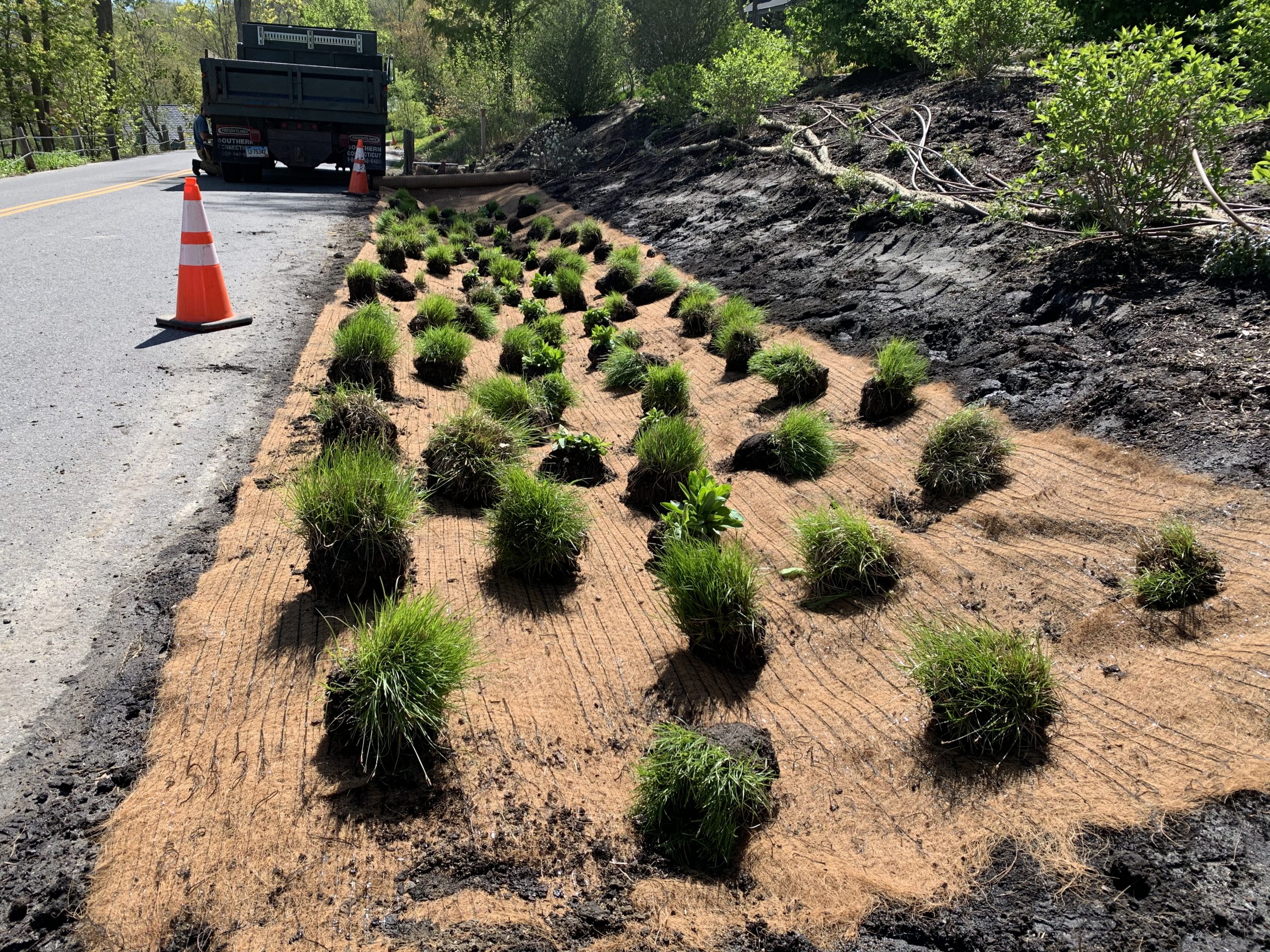 Creating A Bioswale - Designing Eden